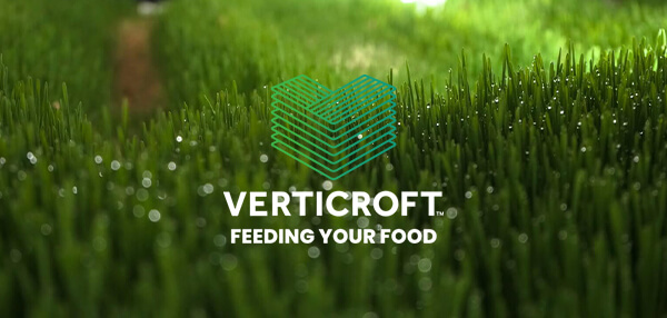 Reconstructing Agriculture By Growing Nutritious Feed | Verticroft
